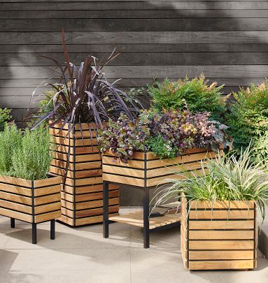 Jasper Planter | Rejuvenation