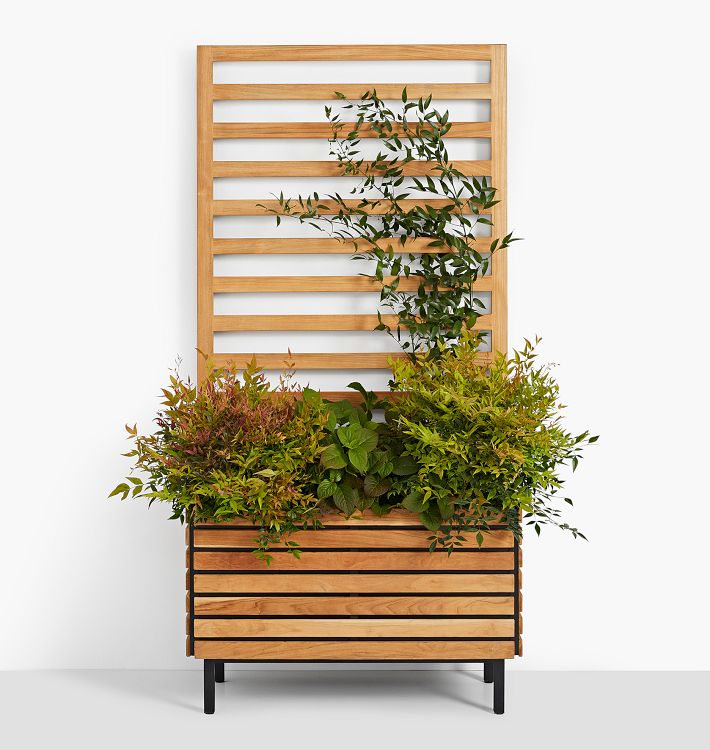 Jasper Teak Wall Mounted Trellis | Rejuvenation