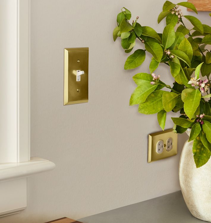 Lewis Single Duplex Outlet Switchplate | Rejuvenation