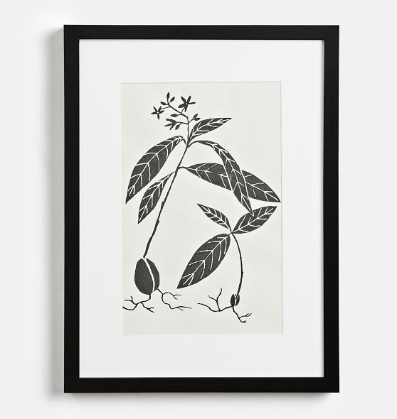 Framed Black & White Contrast Plant Block Print Wall Art | Rejuvenation
