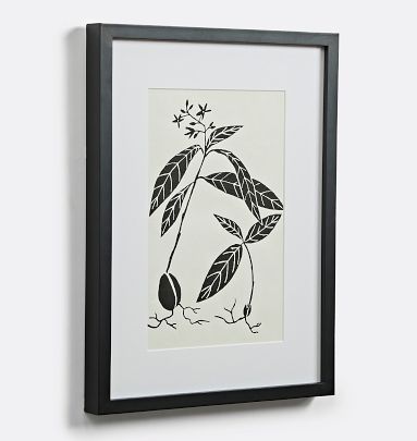 Framed Black & White Contrast Plant Block Print Wall Art | Rejuvenation