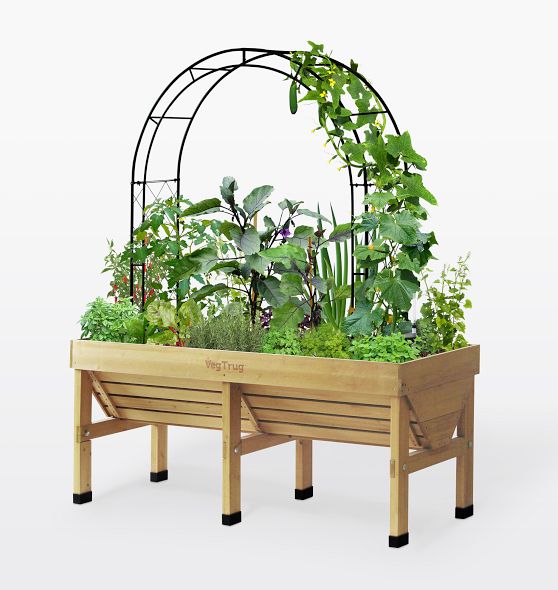 VegTrug Metal Squash Arch | Rejuvenation