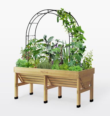 VegTrug Metal Squash Arch | Rejuvenation