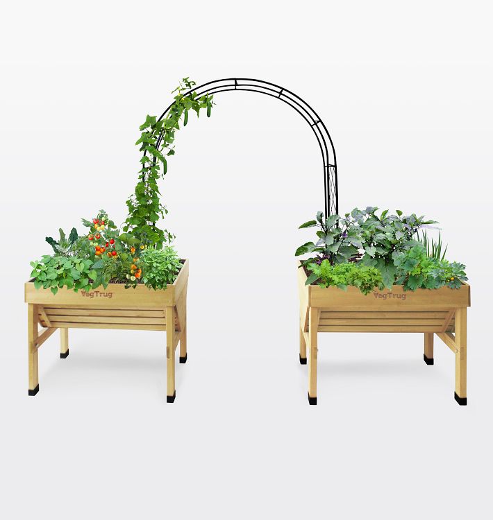 VegTrug Metal Squash Arch | Rejuvenation