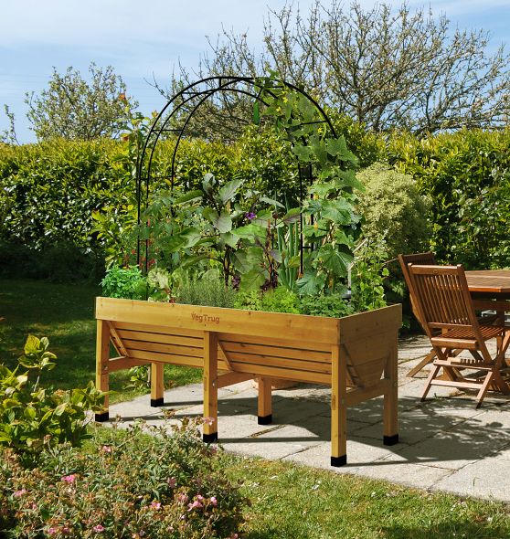 VegTrug Metal Squash Arch | Rejuvenation
