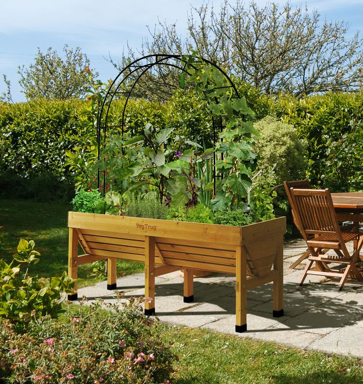 VegTrug Metal Squash Arch | Rejuvenation