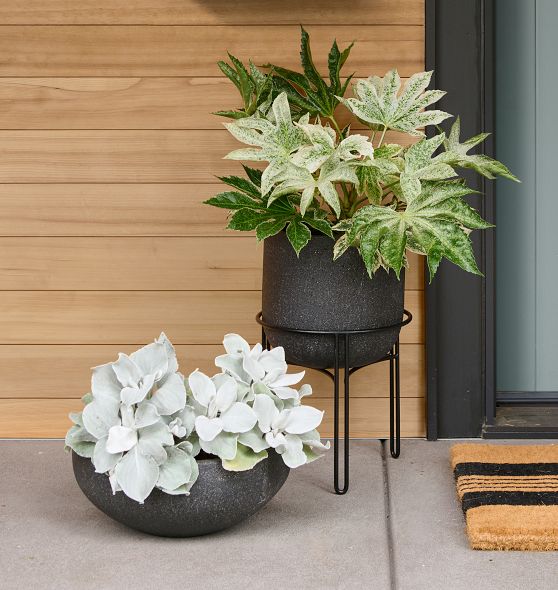 Bent Rod Plant Stand | Rejuvenation