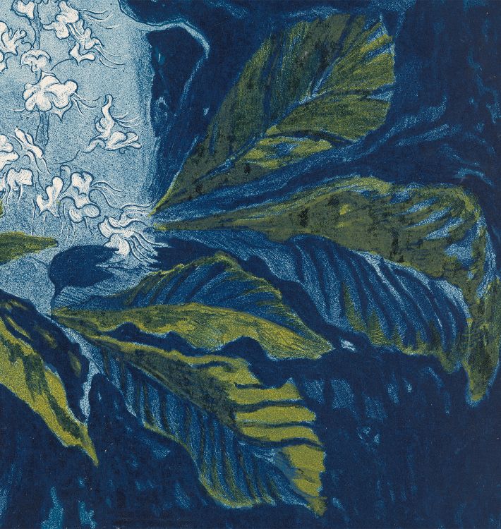 Chestnut Reproduction Wall Art Print | Rejuvenation