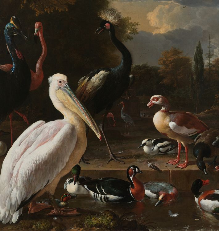 The Floating Feather Framed Reproduction Wall Art Print | Rejuvenation