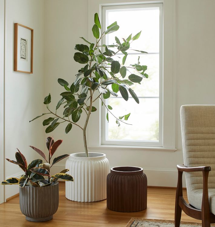 Concrete Fluted Planter | Rejuvenation