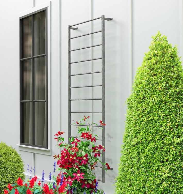 Steel Ladder Trellis | Rejuvenation