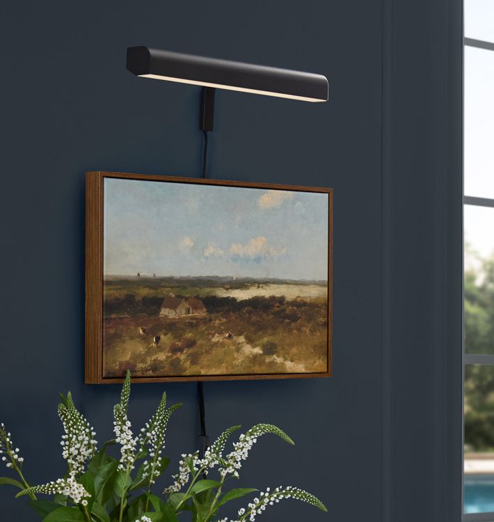 Jenesen Picture Light | Rejuvenation