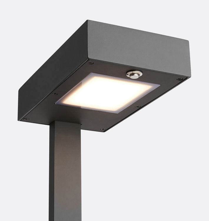 Zander Solar Path Light | Rejuvenation