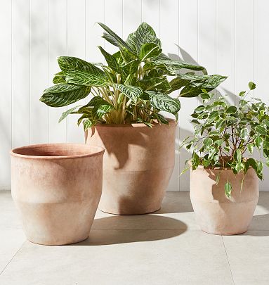 Terra cotta planters store