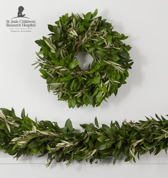 Live Ruscus & Olive Garland and Wreath | Rejuvenation