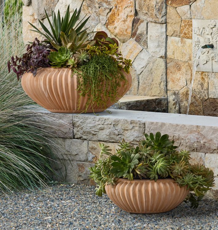 Candra Concrete Planters | Rejuvenation