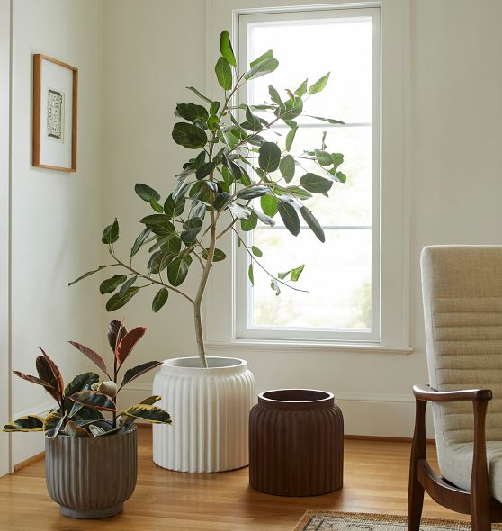 Concrete Fluted Planter | Rejuvenation