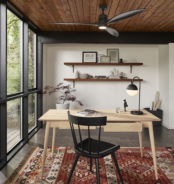 Falcon LED Ceiling Fan | Rejuvenation