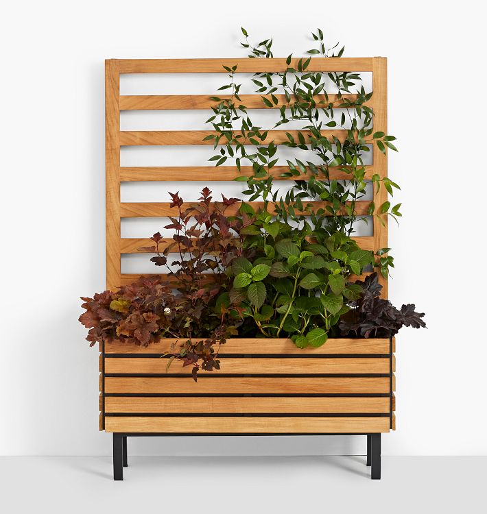 Jasper Teak Wall Mounted Trellis | Rejuvenation