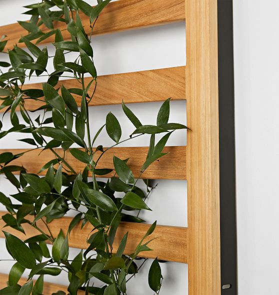 Jasper Teak Wall Mounted Trellis | Rejuvenation