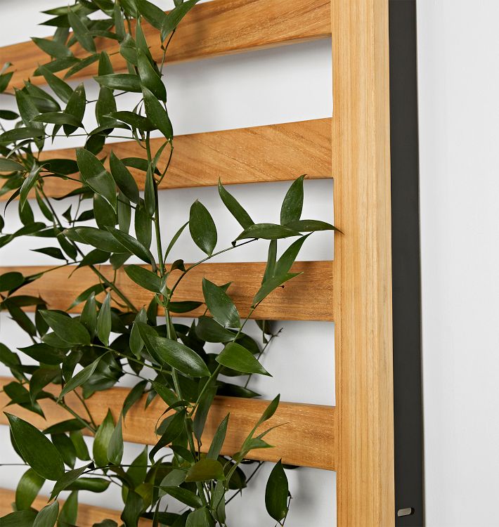 Jasper Teak Wall Mounted Trellis | Rejuvenation
