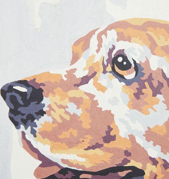 Paint by Numbers Portrait of Dogs | Rejuvenation