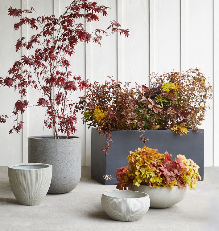 Modern Textured Tapered Planter | Rejuvenation