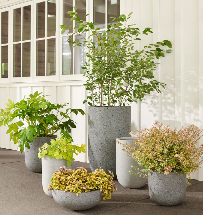 Dell All-Weather Planter | Rejuvenation