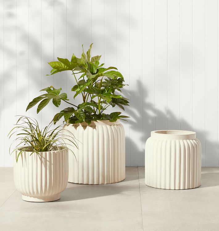 Concrete Fluted Planter | Rejuvenation
