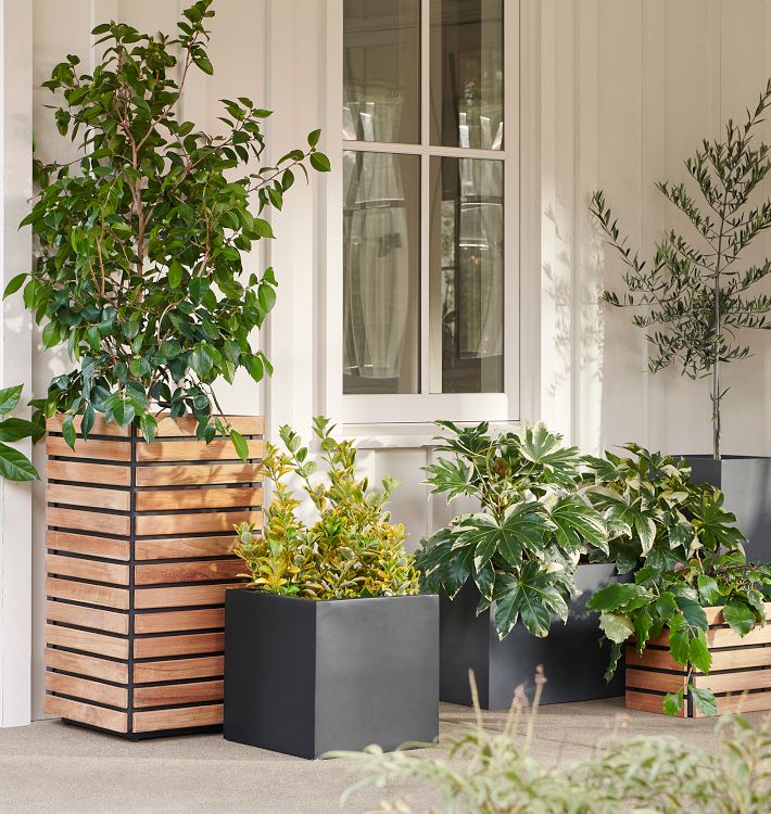 Jasper Planter | Rejuvenation