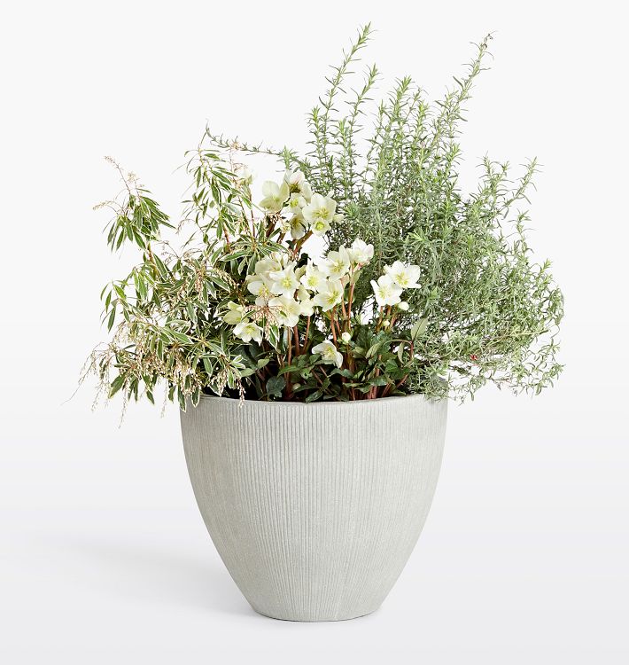 Modern Textured Tapered Planter | Rejuvenation