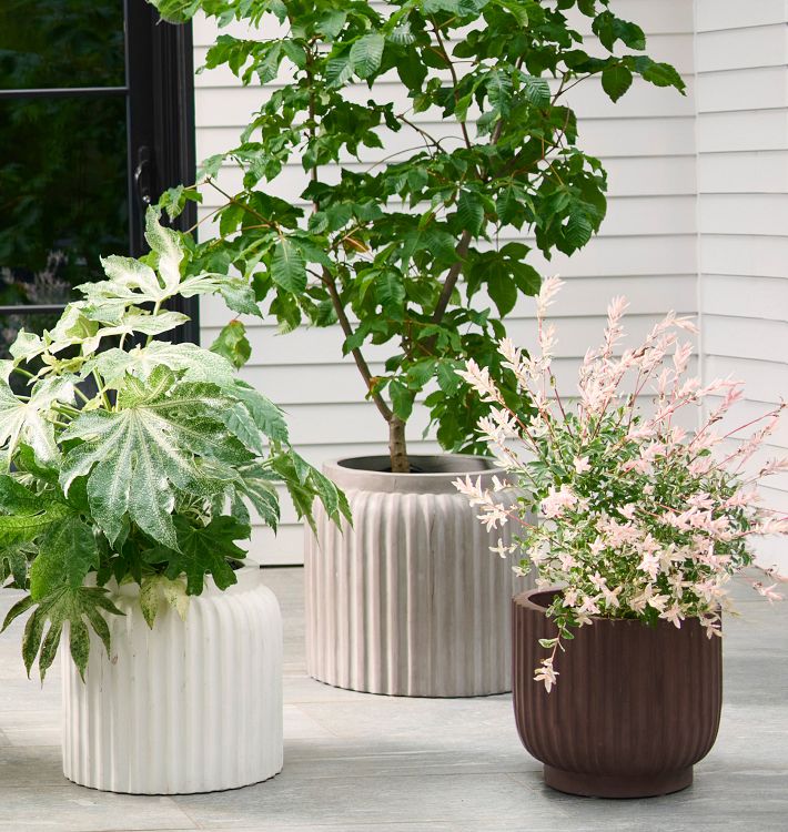 Concrete Fluted Planter | Rejuvenation