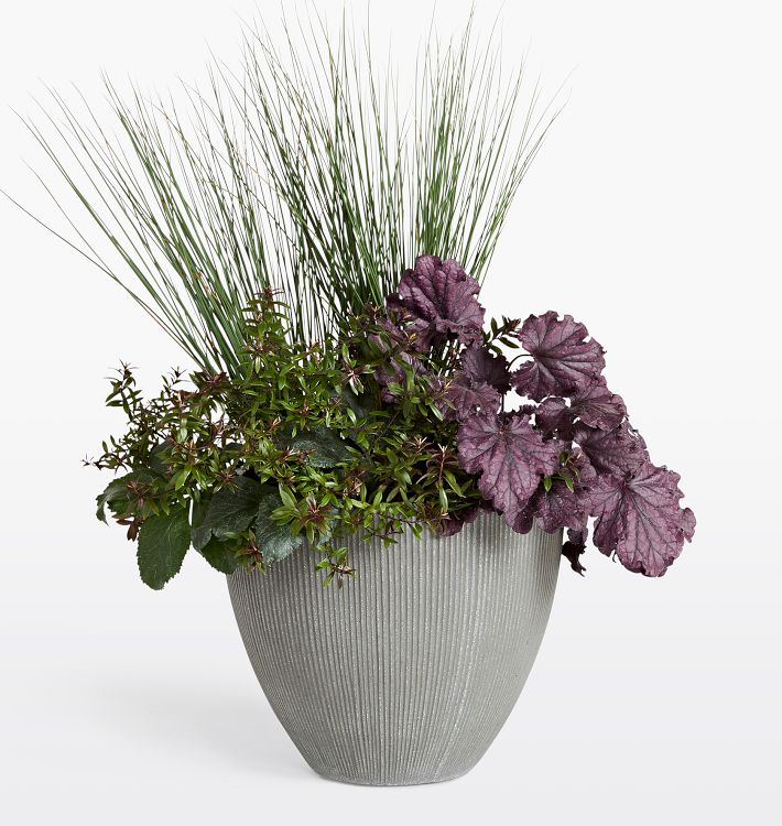 Modern Textured Tapered Planter | Rejuvenation