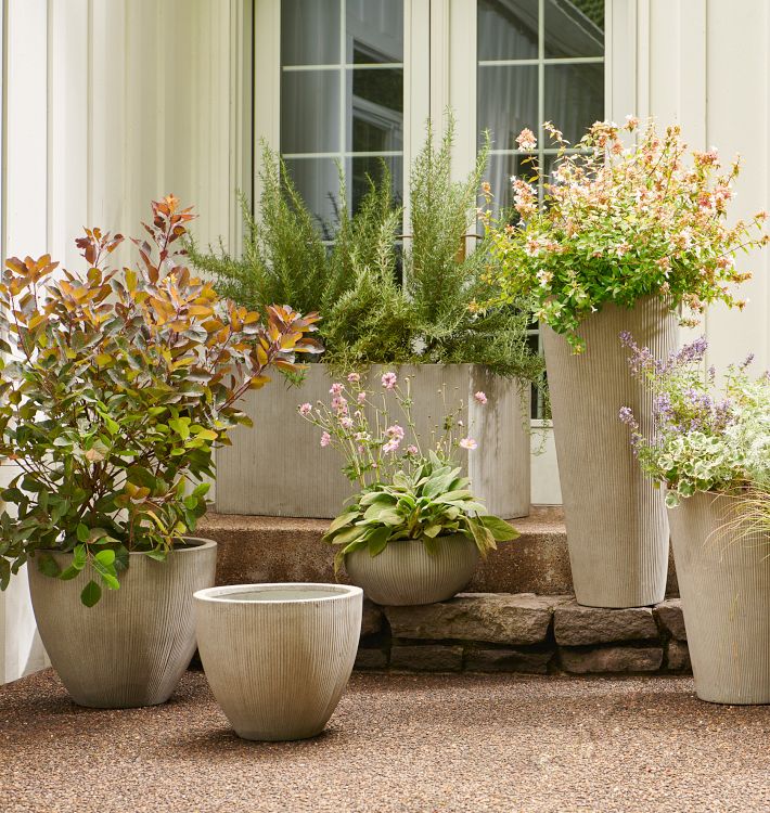 Modern Textured Tapered Planter | Rejuvenation