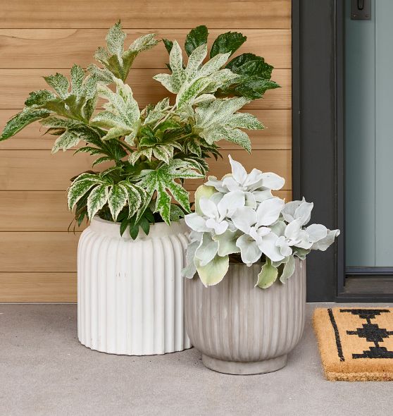 Concrete Fluted Planter | Rejuvenation