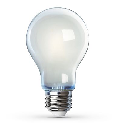FEIT LED Filament A19 Frosted 5W 40We Bulb 4 Pack | Rejuvenation