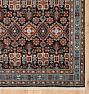Bales Hand Knotted Rug | Rejuvenation