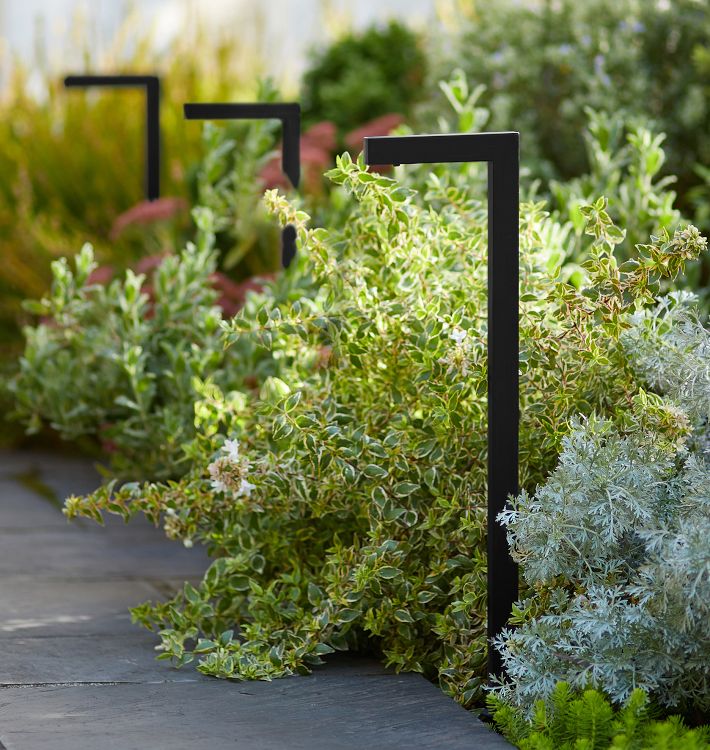 Bowie Path Light | Rejuvenation