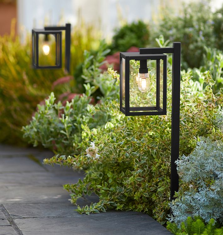 Ida Path Light | Rejuvenation