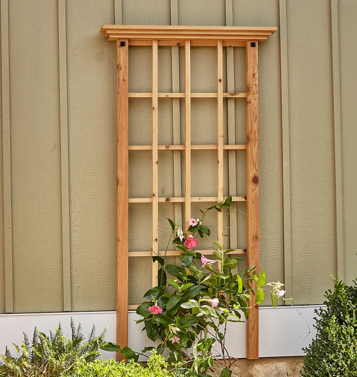 Set of 2 Cedar Garden Trellises | Rejuvenation