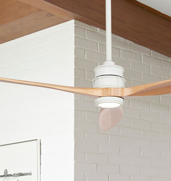Falcon LED Ceiling Fan | Rejuvenation