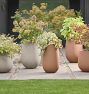 Napa Ficonstone Planters | Rejuvenation