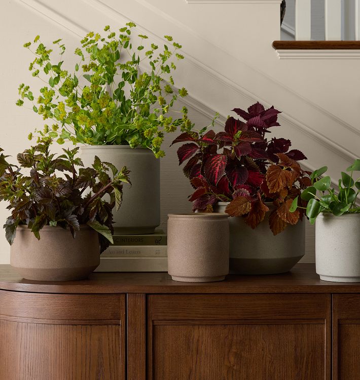 Hansen Indoor Planter | Rejuvenation