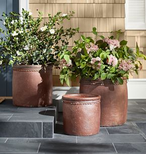 Bria Red Clay Planter | Rejuvenation